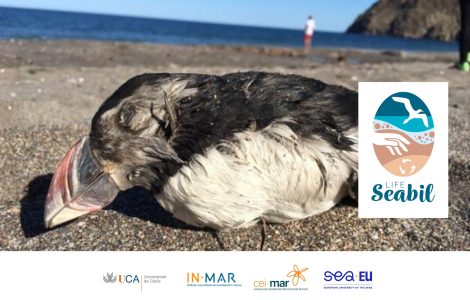 Nuevo artículo dentro del Proyecto LIFE – SeaBil: Salvar a las aves marinas de los deshechos ...